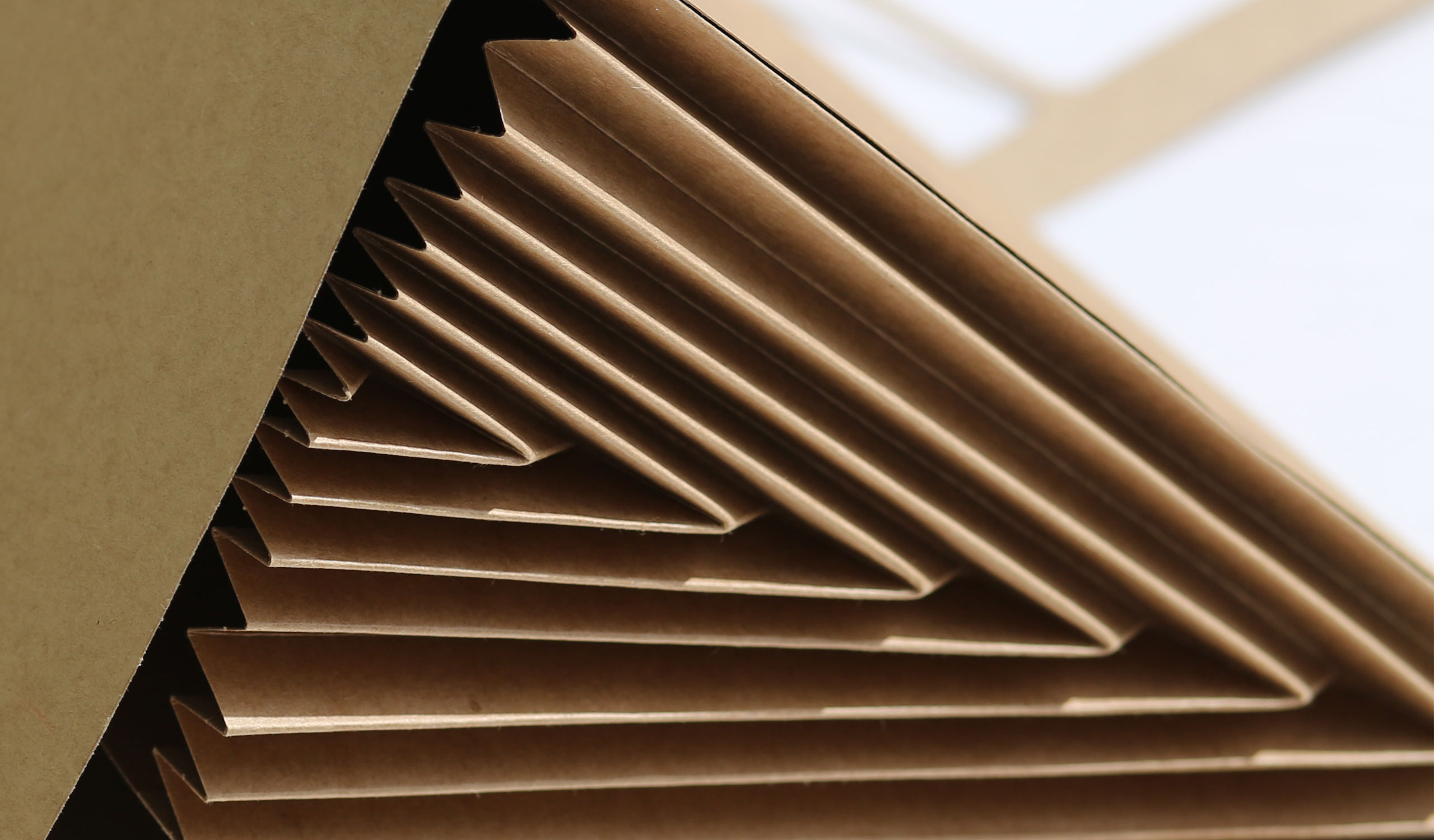 Bigowanie | Drukarnia Zapol